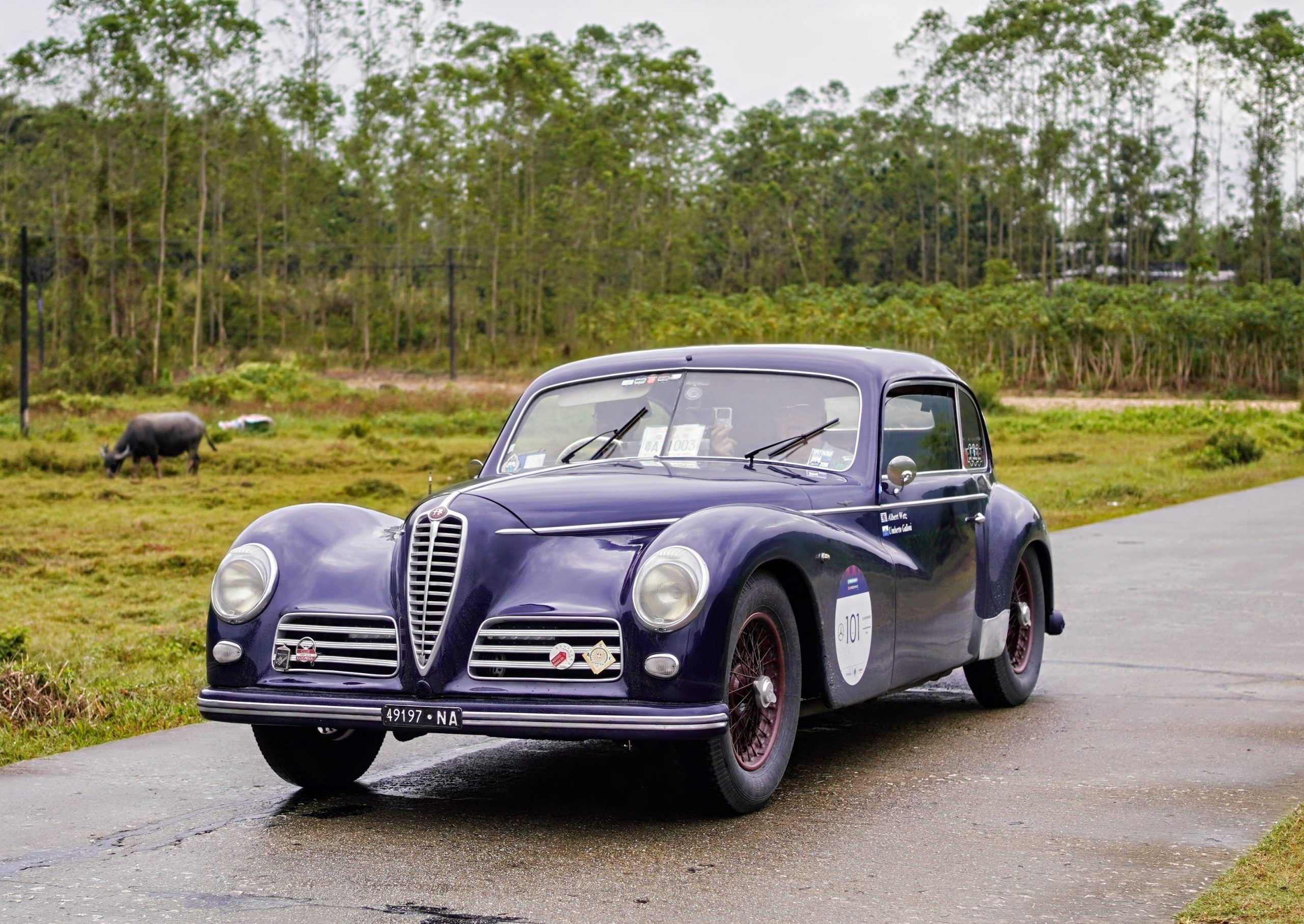 GALLONI-WETZ IN A 1948 ALFA ROMEO 6C 2500 GOLDEN ARROW CHAMPIONS AT THE ...